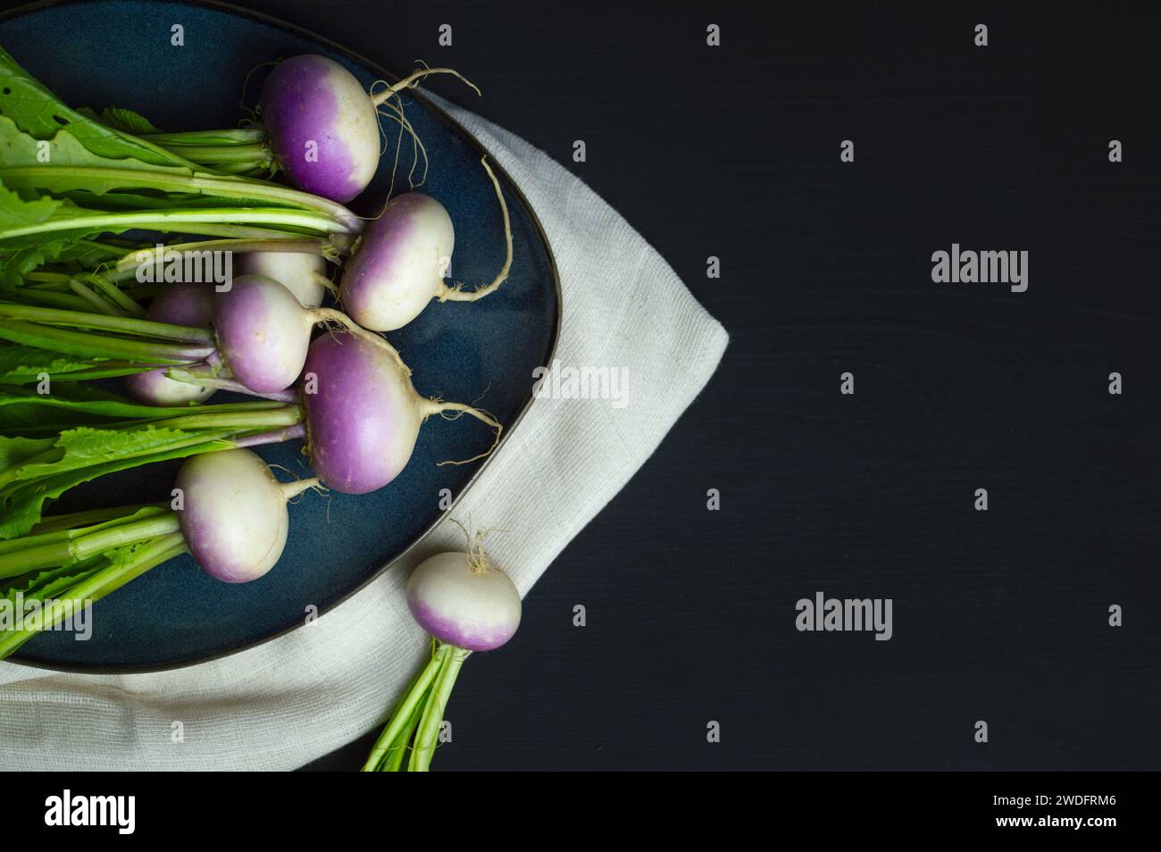 Creative and soft radish photography on black background Stock Photo ...