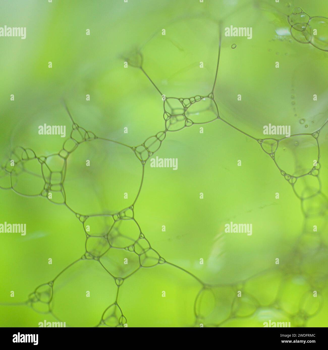 Bubbles of green hi-res stock photography and images - Alamy