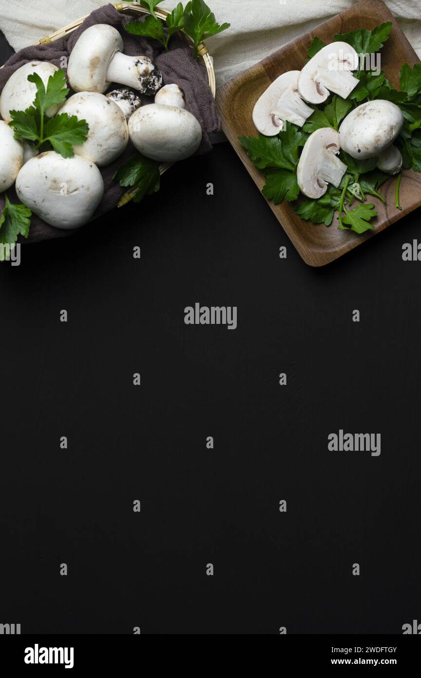 Mushroom photography composition food art Stock Photo - Alamy