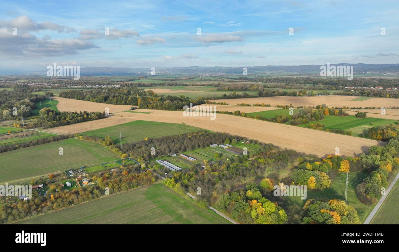 Bio farm autumn farming potato harvest cabbage Solanum tuberosum ...