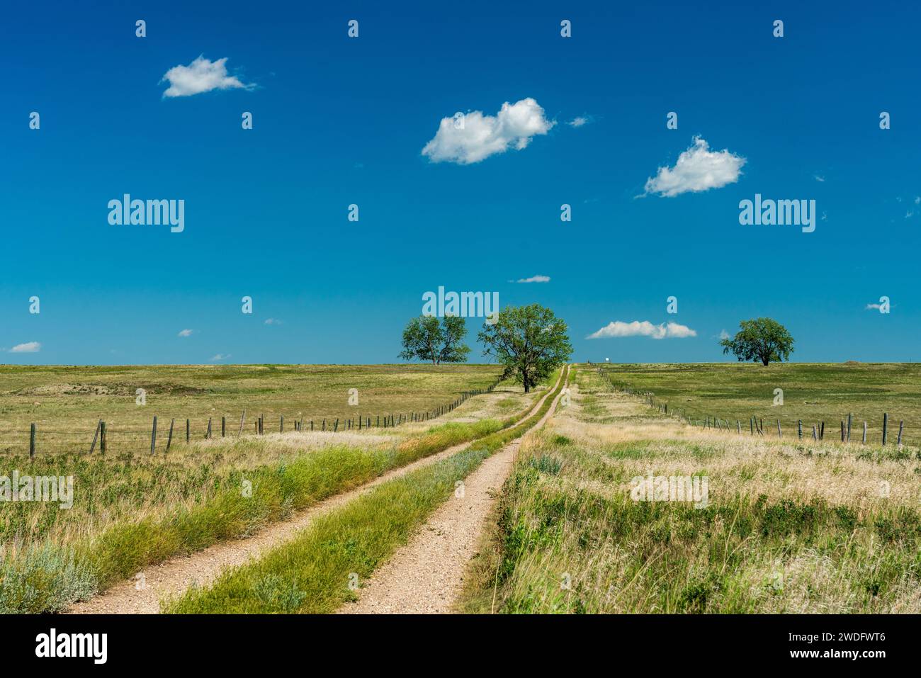 A prairie trail in the Souris River Valley, Western Manitoba, Canada ...