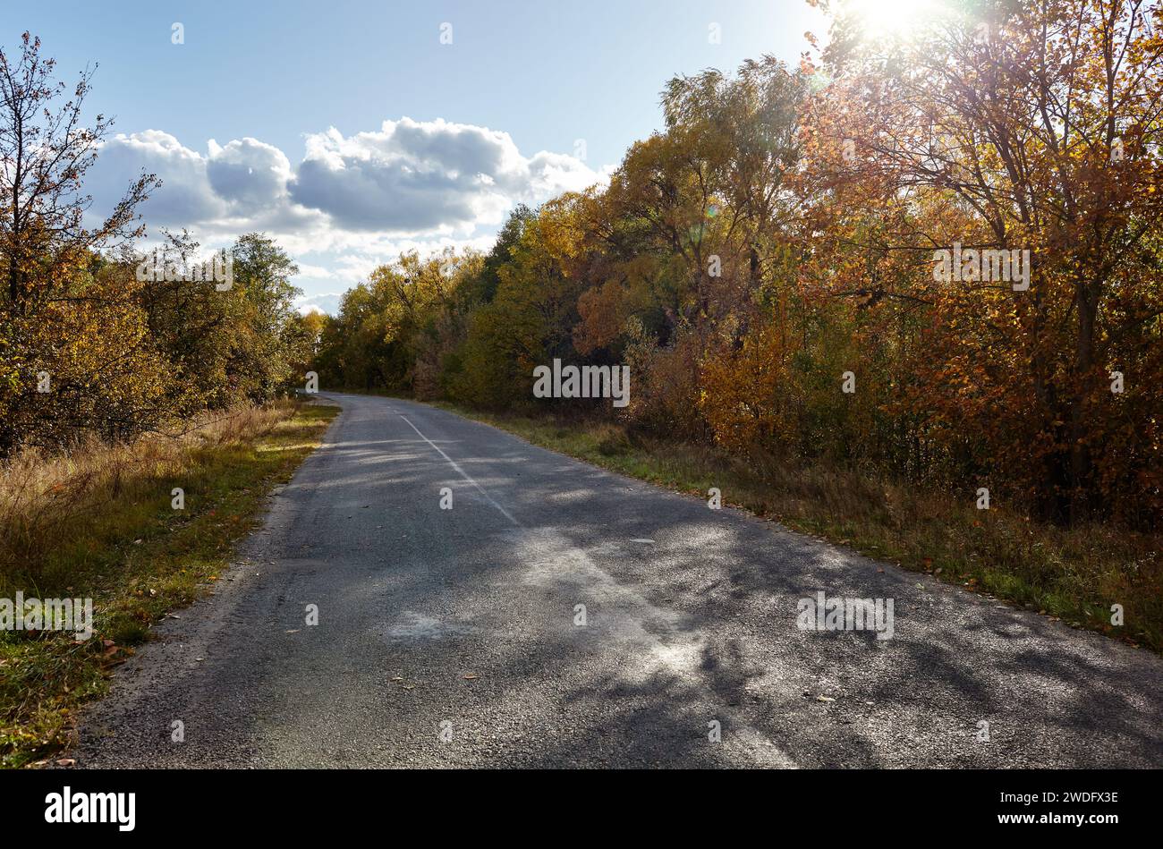 Asphalt country road near trees. A bend road at rural Europe Stock ...