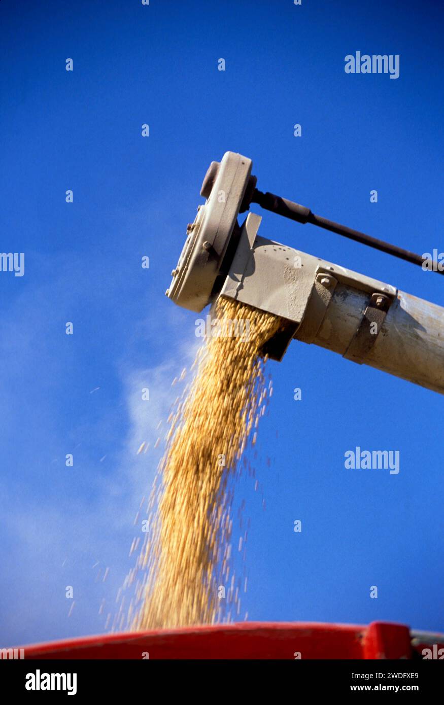 Auger loading on truck hi-res stock photography and images - Alamy