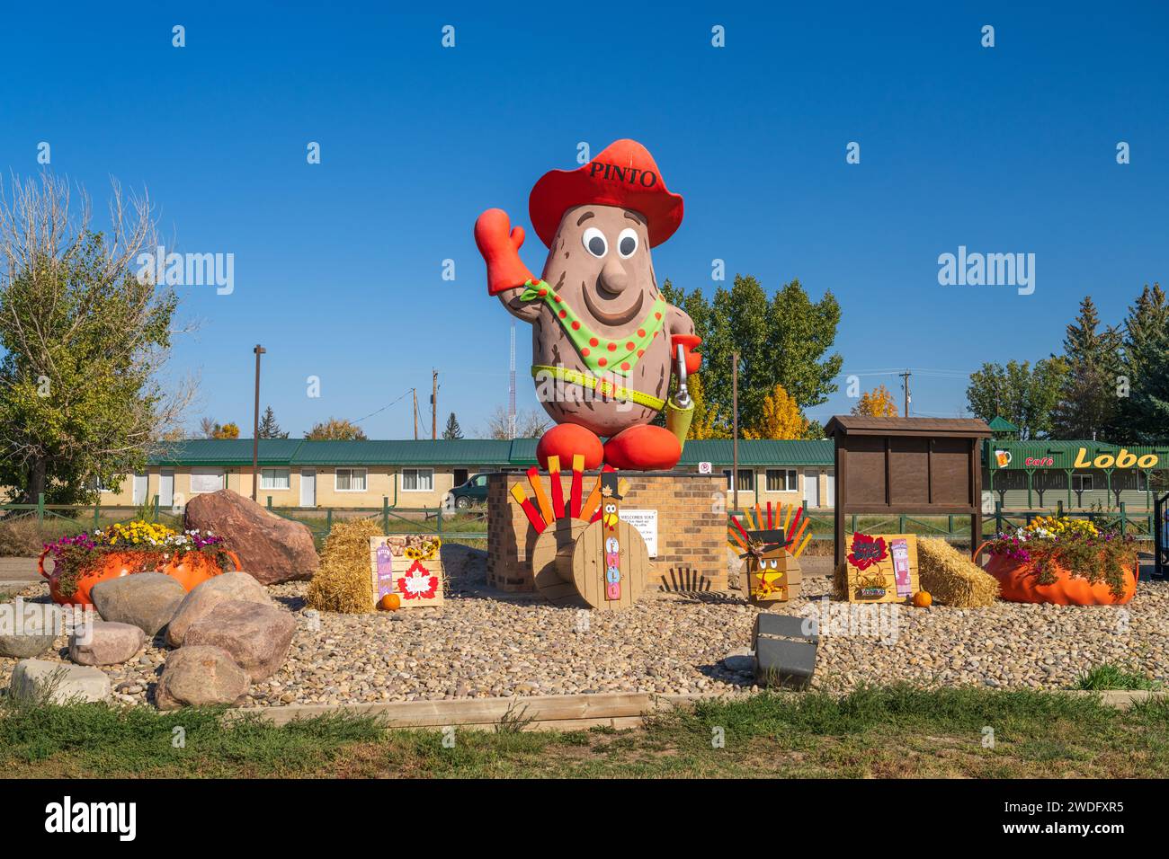 The pinto bean monument in Pinto, Alberta, Canada Stock Photo - Alamy