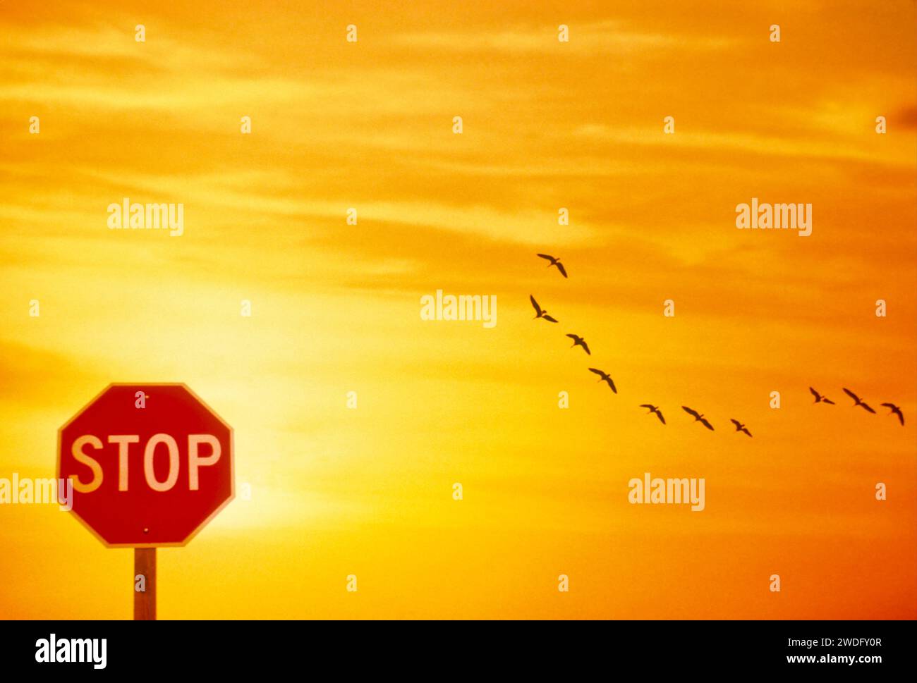 Flying down road sunset hi-res stock photography and images - Alamy