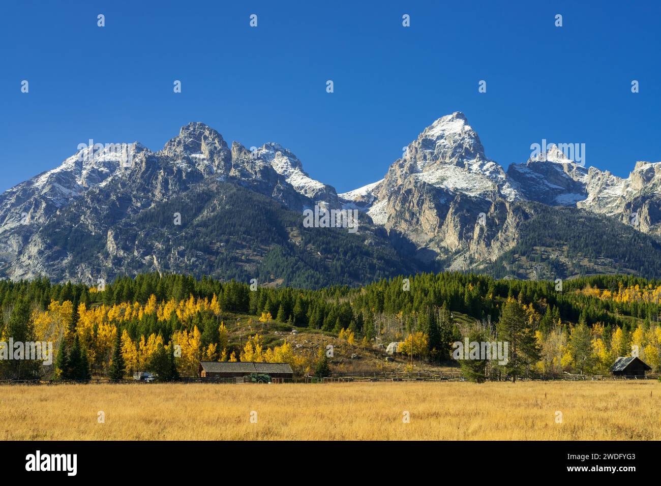 The Grand Tetons mountain range with fall foliage color in The Grand ...
