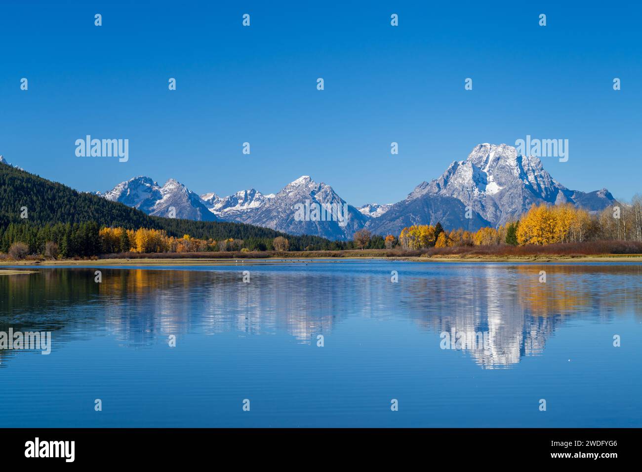 Mount Moran and Oxbow Bend with fall foliage color, Grand Teton ...