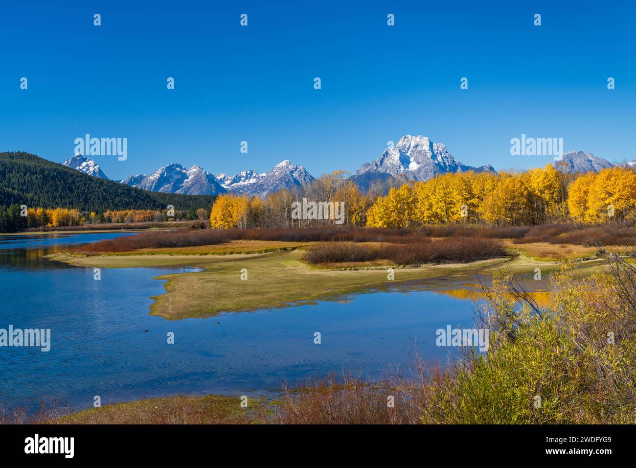 Mount Moran and Oxbow Bend with fall foliage color, Grand Teton ...