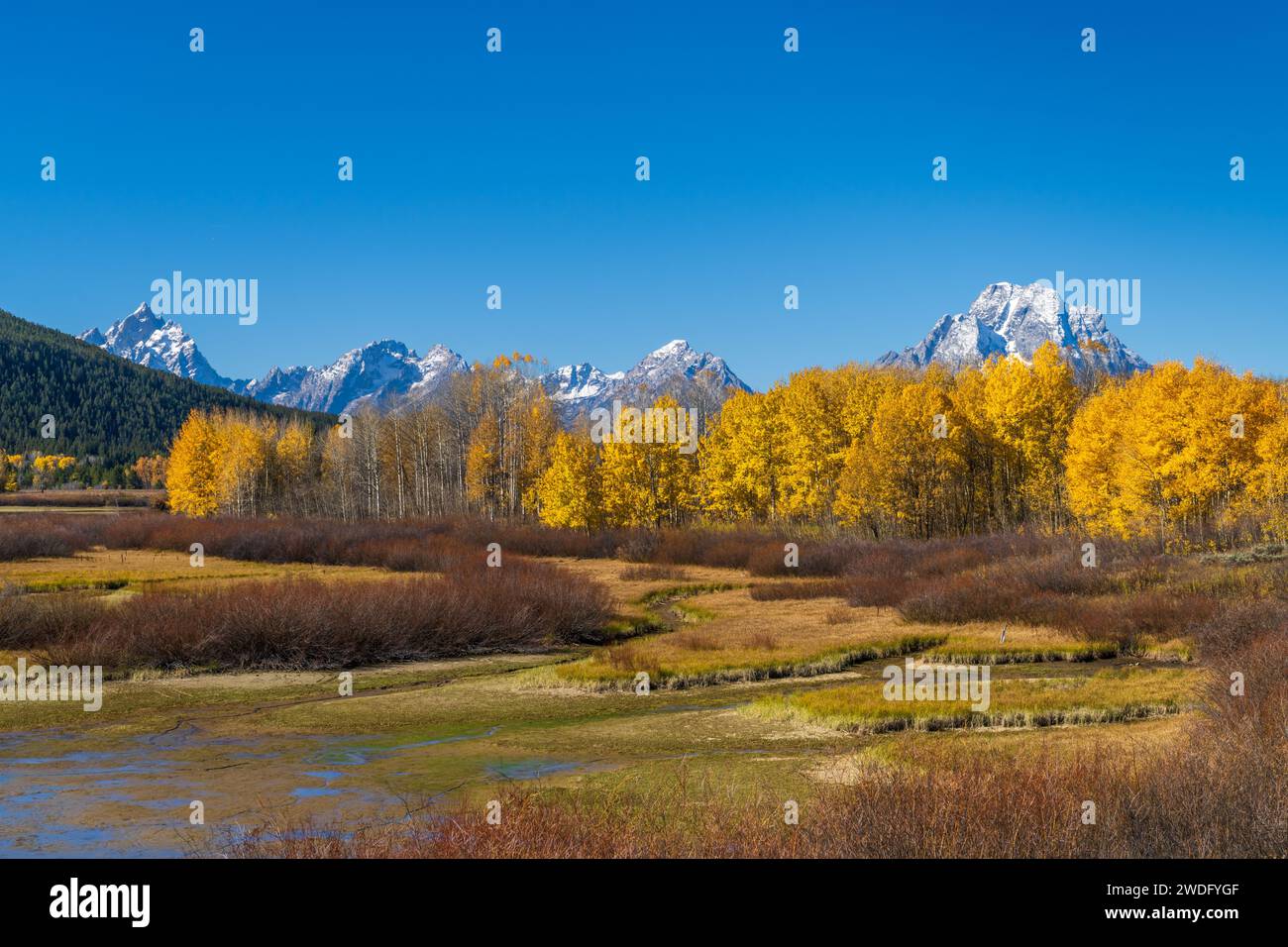Mount Moran and Oxbow Bend with fall foliage color, Grand Teton ...