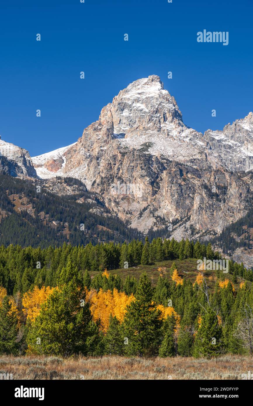 The Grand Tetons mountain peaks with fall foliage color in the Grand ...
