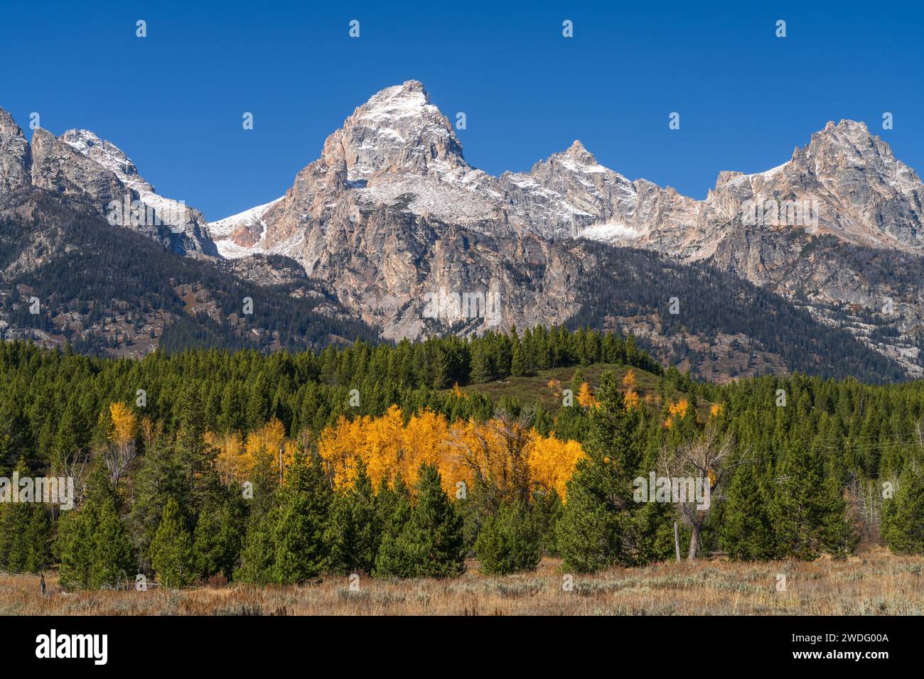The Grand Tetons mountain peaks with fall foliage color in the Grand ...