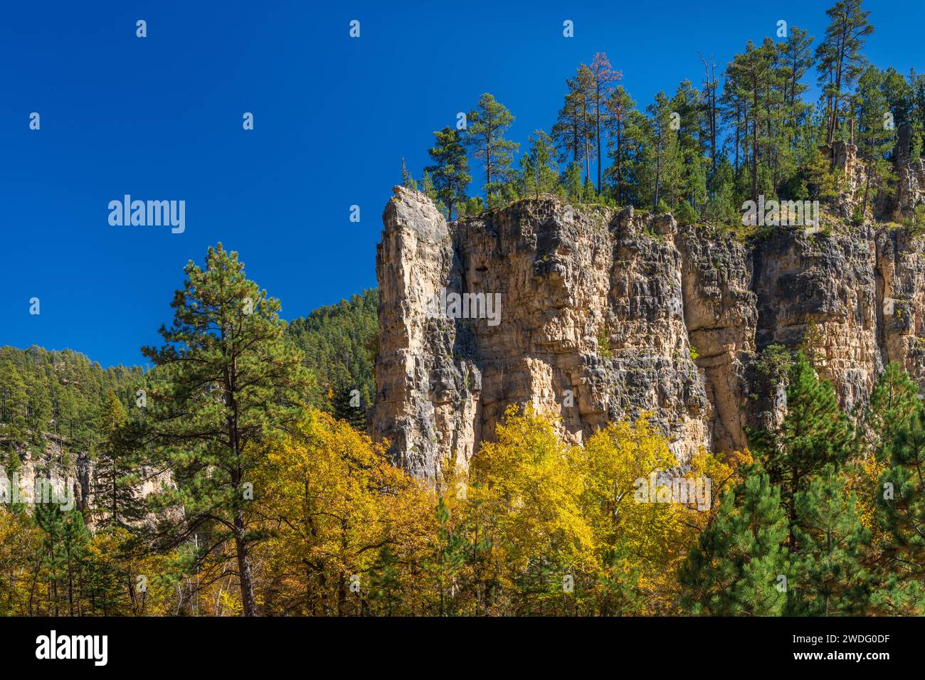 Canyon cliffs and fall foliage color in Spearfish Canyon, South Dakota ...