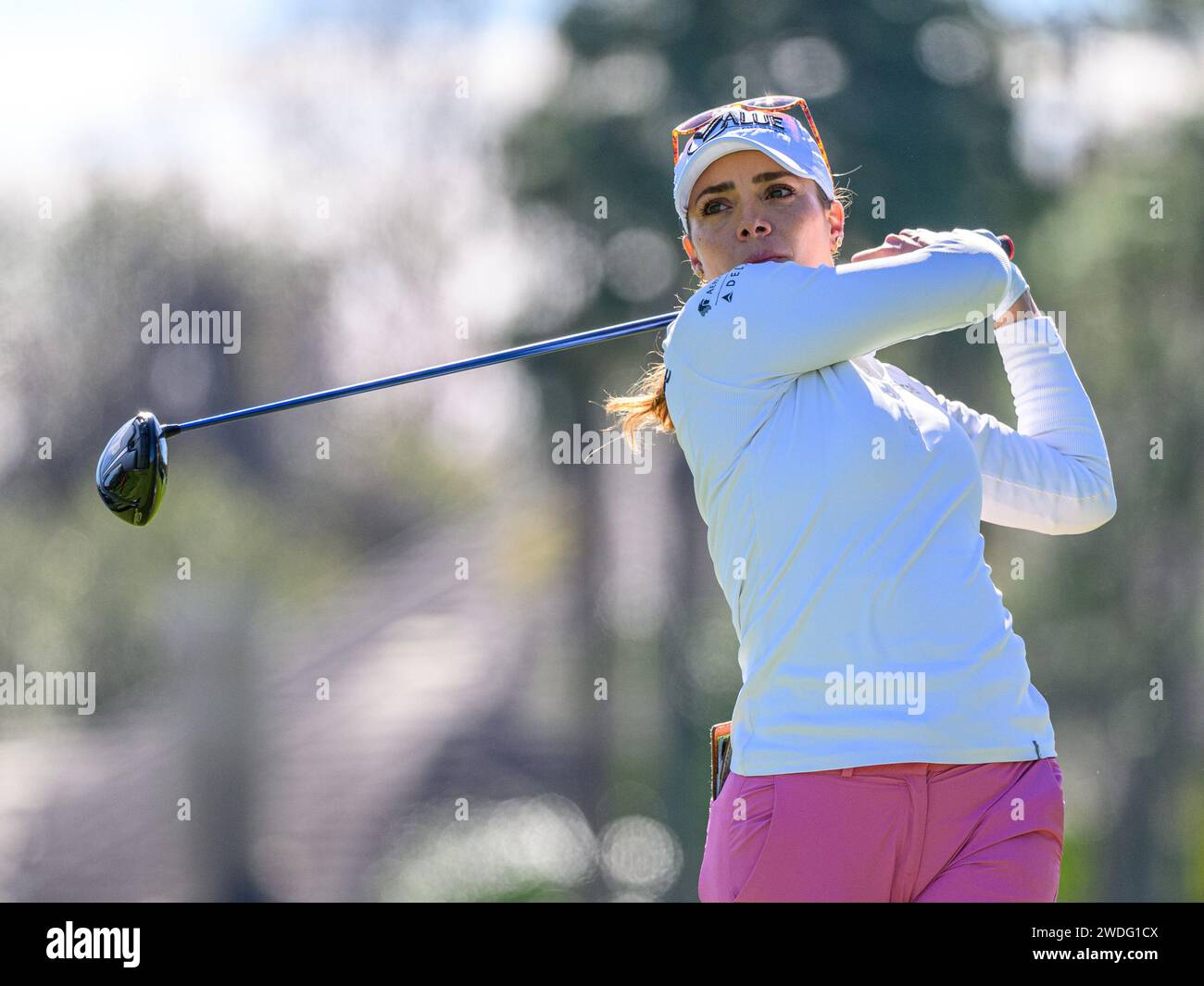 2024 0394 jpg hi-res stock photography and images - Alamy