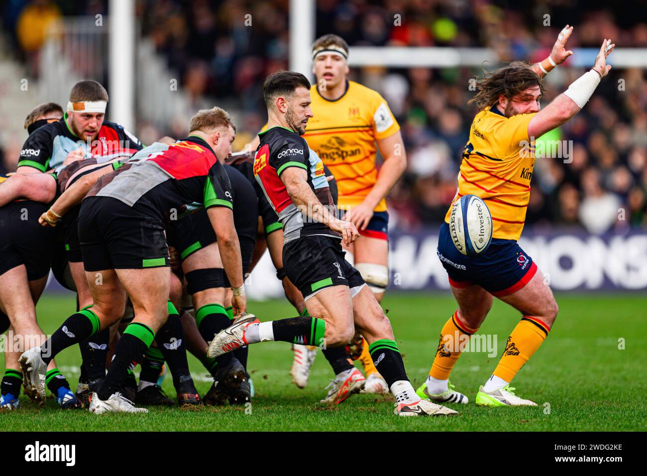 LONDON, UNITED KINGDOM. 20th, Jan 2024. Danny Care of Harlequins ...