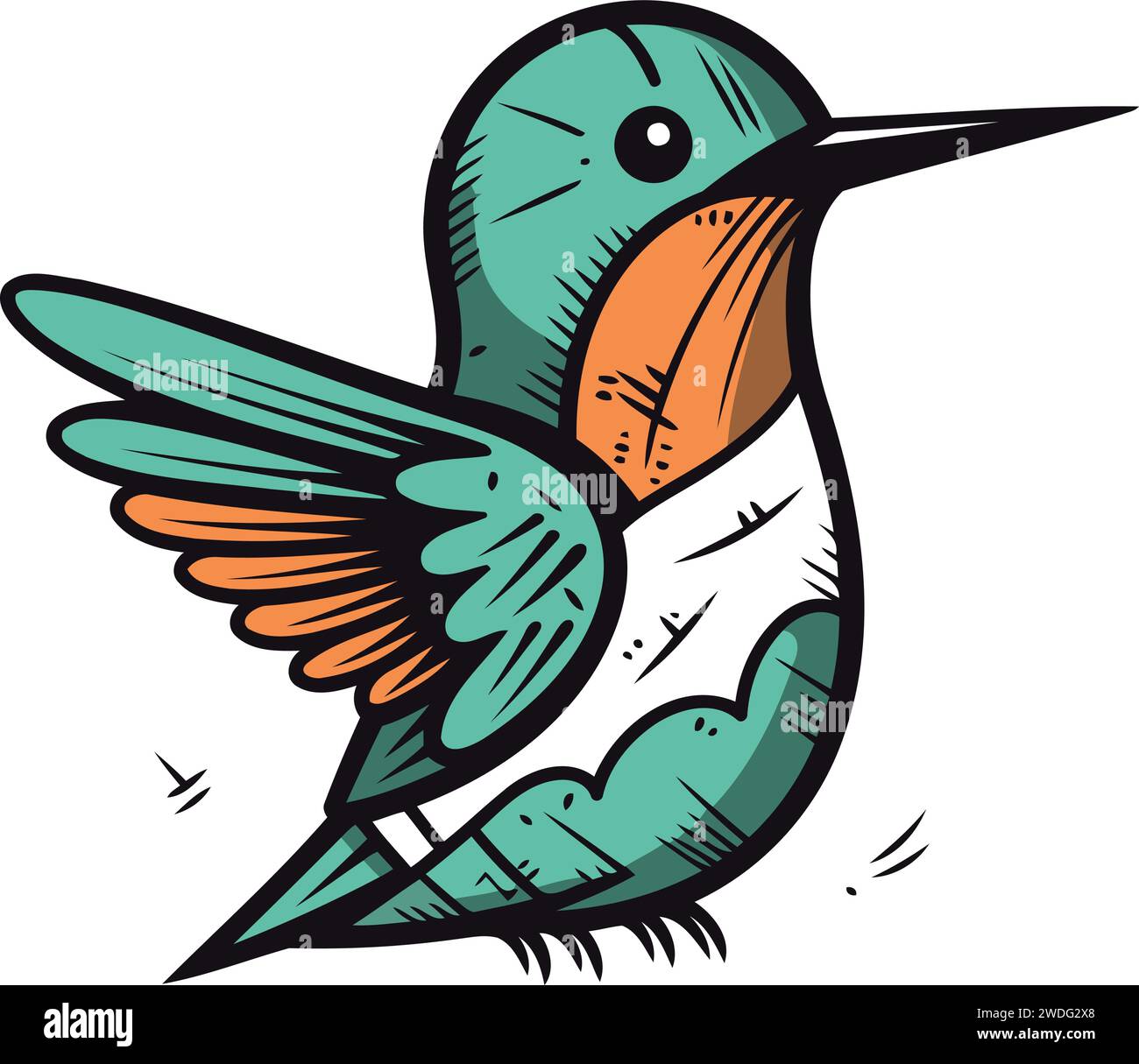 Hummingbird vector outline Cut Out Stock Images & Pictures - Alamy