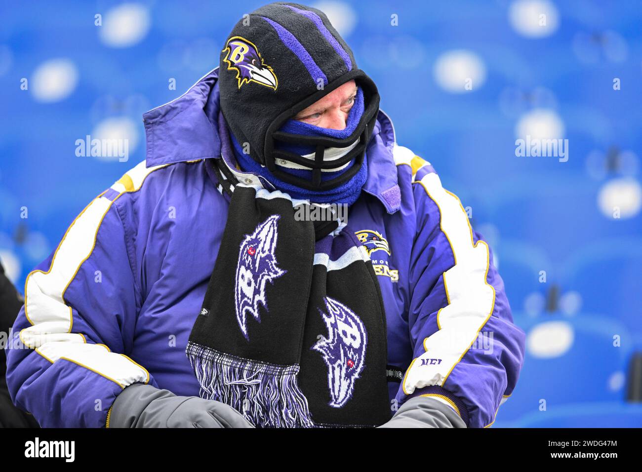 Baltimore, United States. 20th Jan, 2024. A bundled up Baltimore Ravens ...