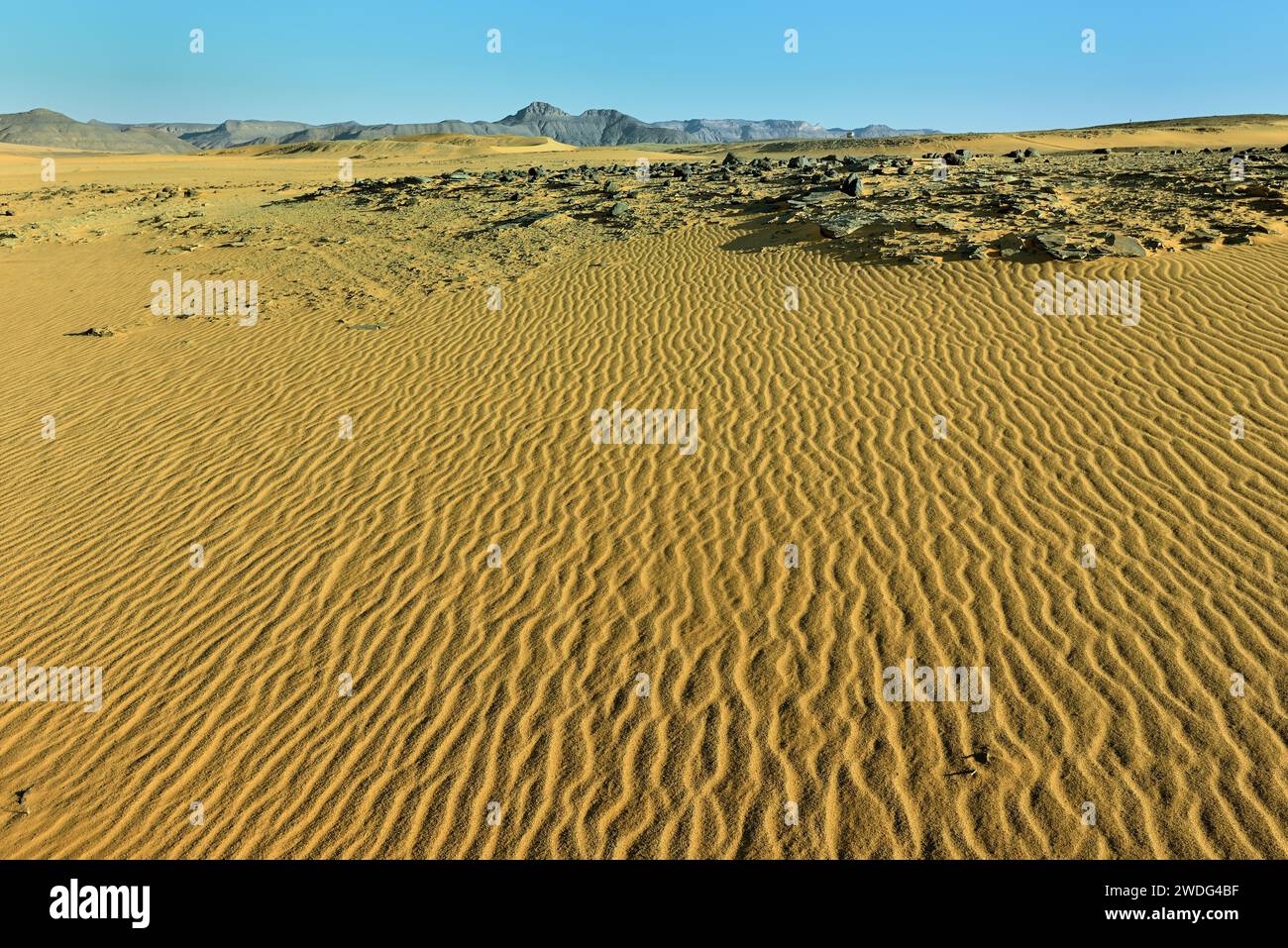ALGERIA WITH SAND DUNES IN THE SAHARA DESERT AROUND DJANET OASIS Stock ...