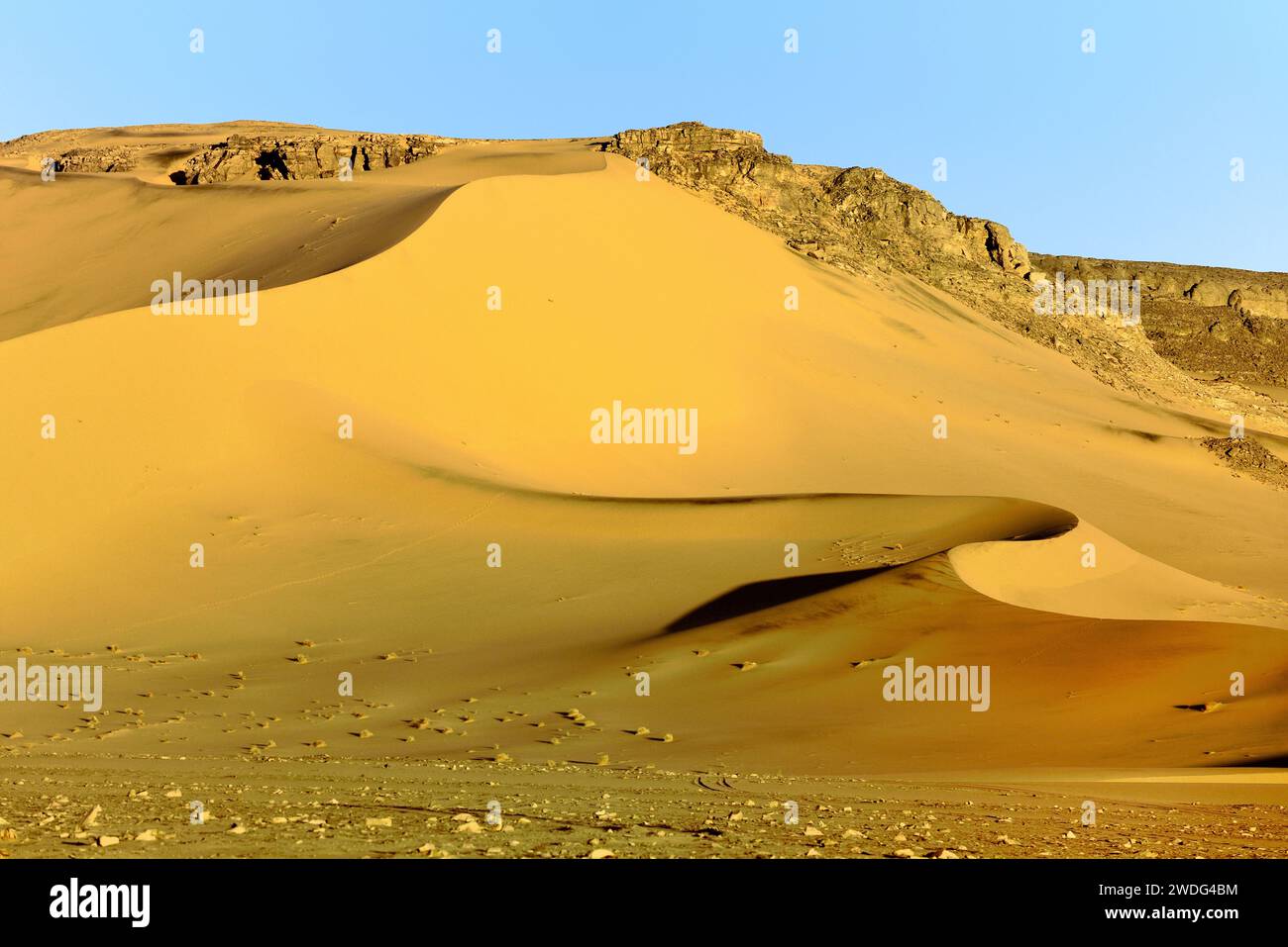 ALGERIA WITH SAND DUNES IN THE SAHARA DESERT AROUND DJANET OASIS Stock ...