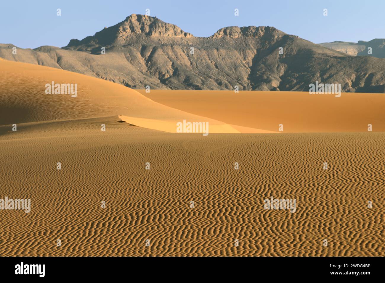 ALGERIA WITH SAND DUNES IN THE SAHARA DESERT AROUND DJANET OASIS Stock ...