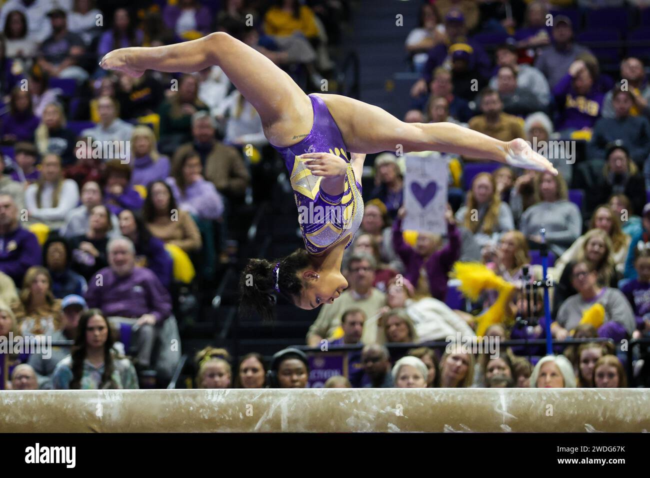 Baton Rouge, LA, USA. 19th Jan, 2024. LSU's Konnor McClain competes on ...