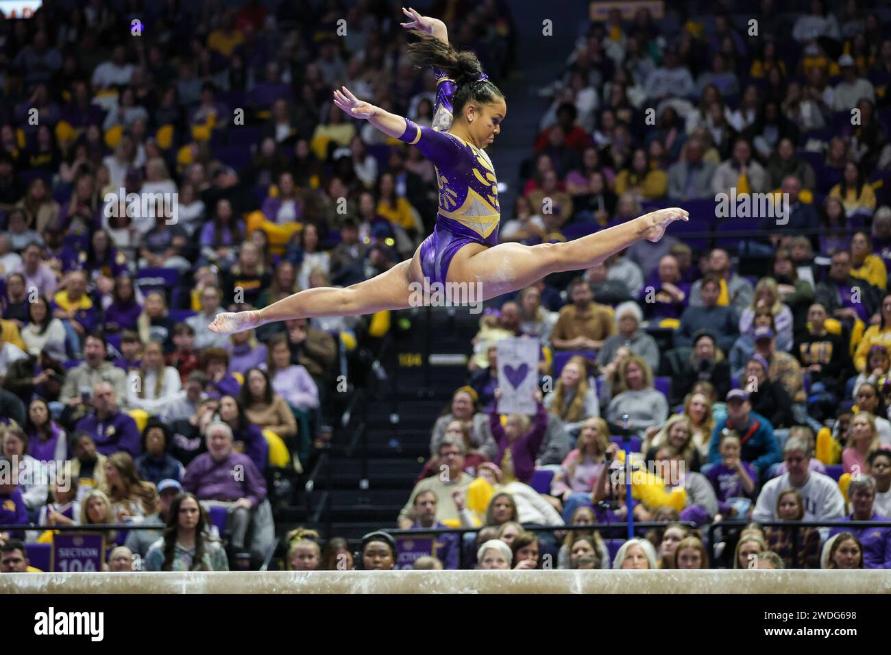 Baton Rouge, LA, USA. 19th Jan, 2024. LSU's Konnor McClain competes on ...