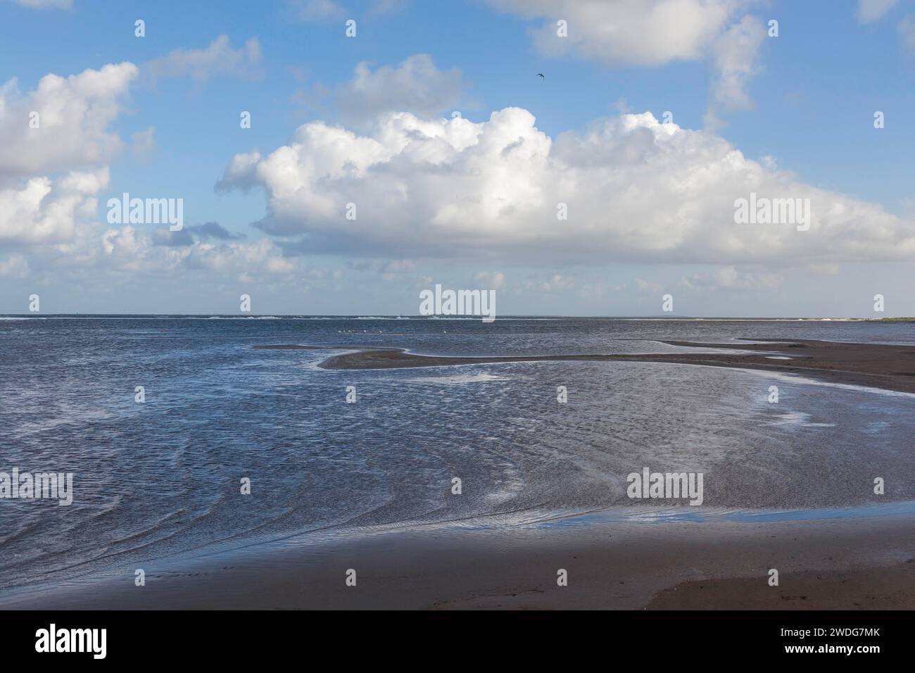 Beach and sea, North Sea island of Texel, province of North Holland ...
