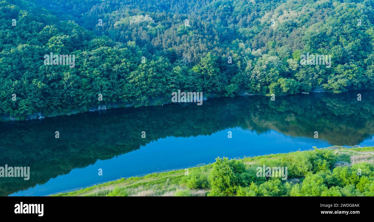 Aerial view of lush tree line on river shore in Sintanjin, South Korea Stock Photo - Alamy
