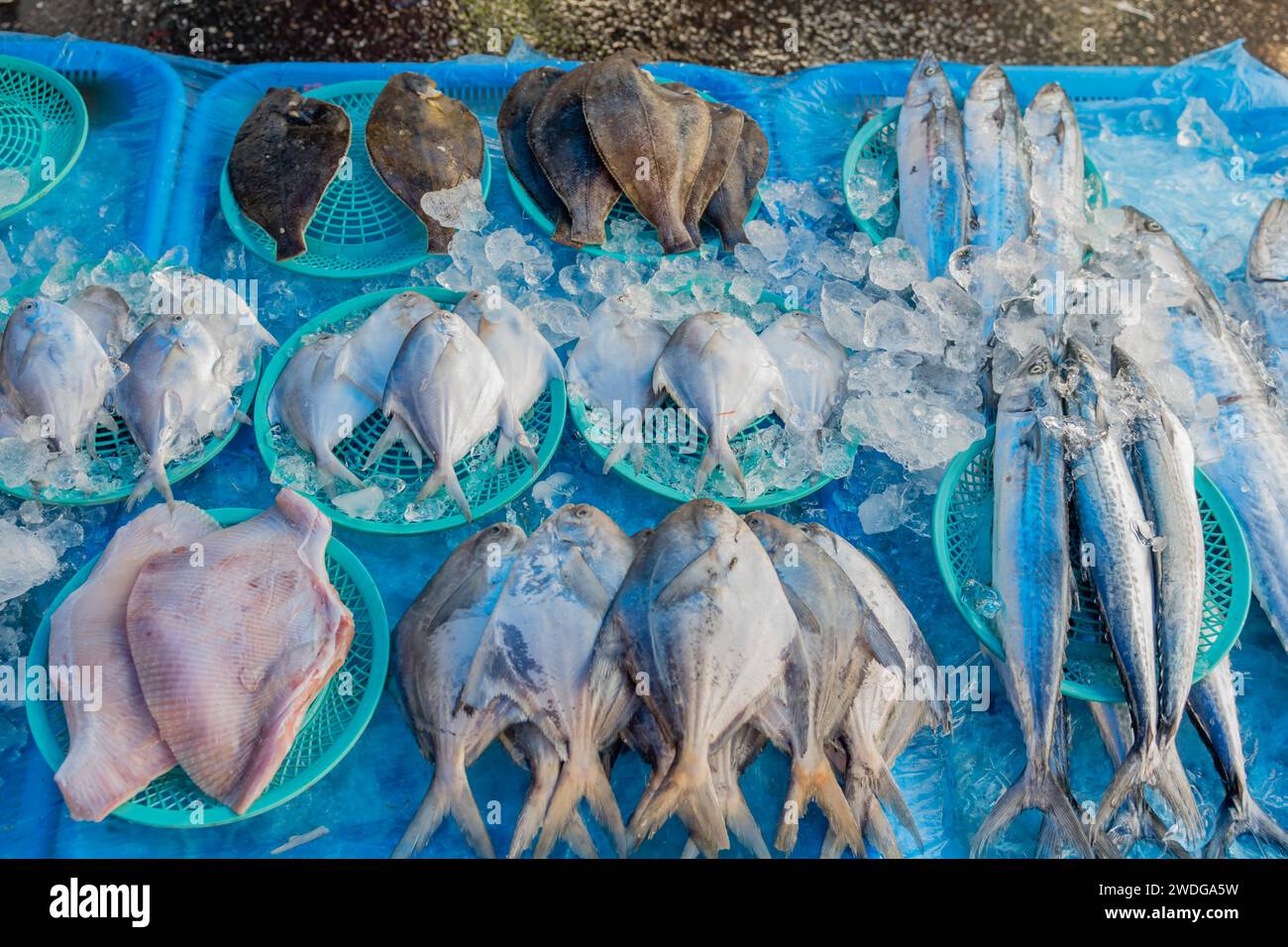 Selection of fresh fish on ice for sale at open air market Stock Photo ...