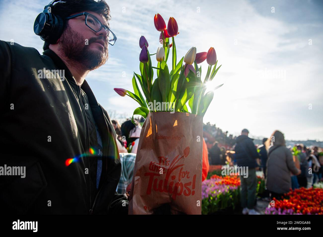 Asian tulip garden hi-res stock photography and images - Alamy