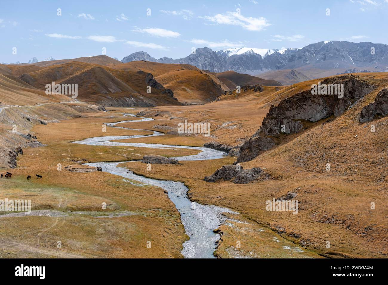 River Kol Suu winds through a mountain valley with hills of yellow ...