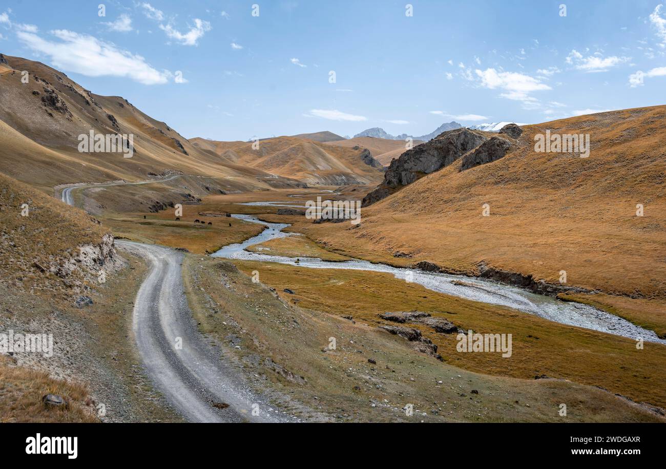 Road, track between hills with yellow grass, Kol Suu river winds ...