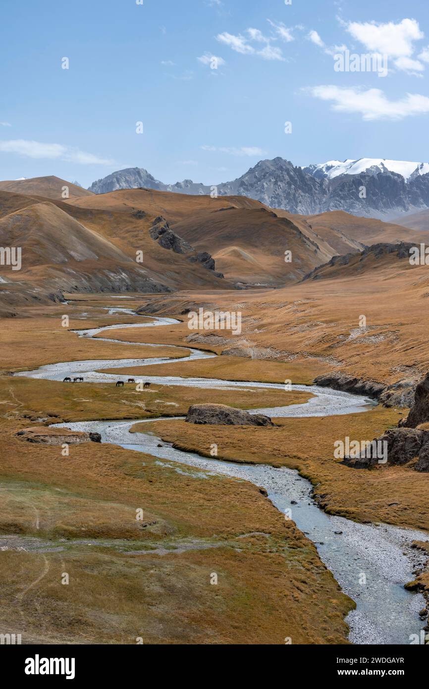 River Kol Suu winds through a mountain valley with hills of yellow ...