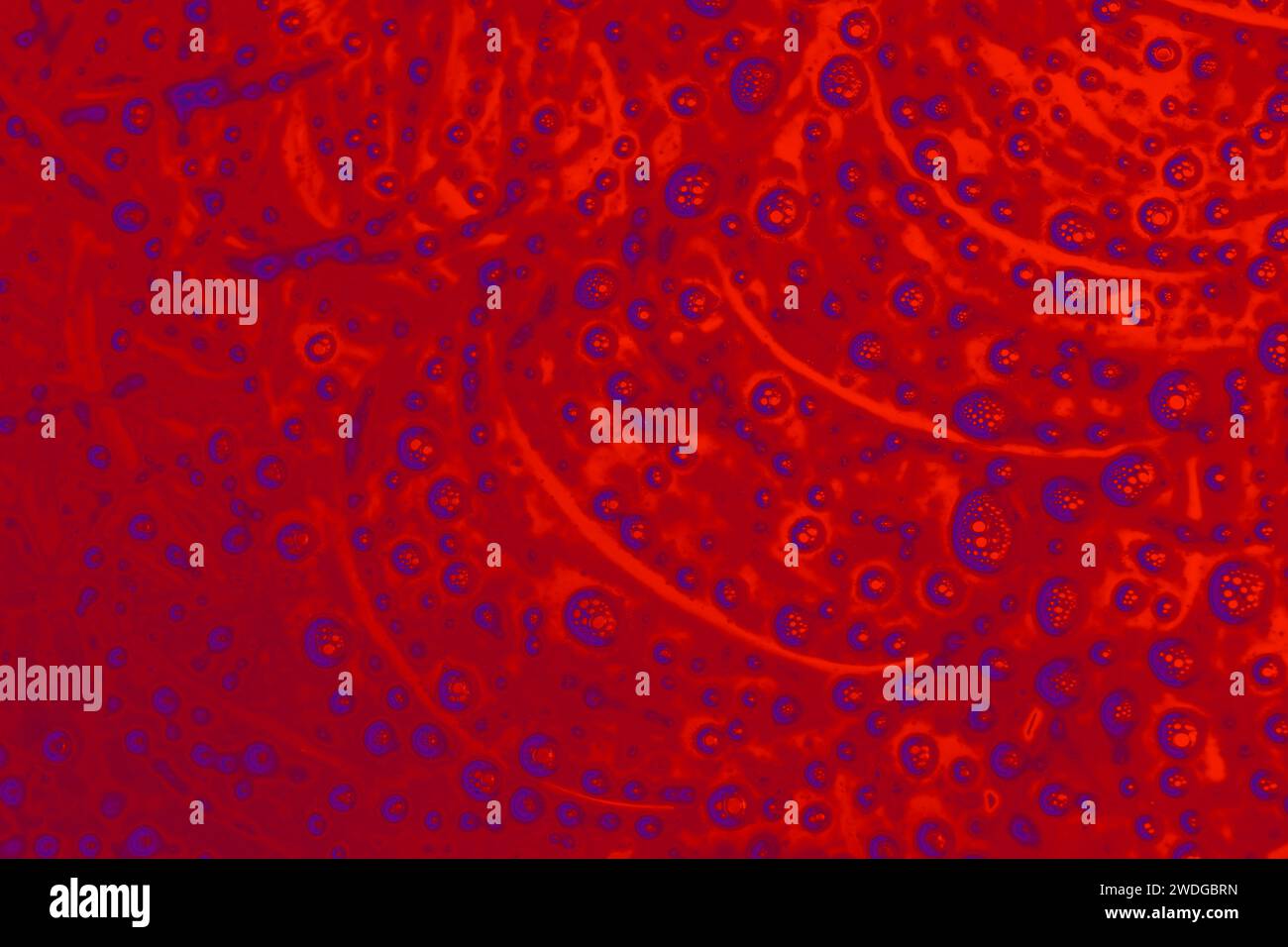 Air bubbles inside water base form patterns Stock Photo - Alamy
