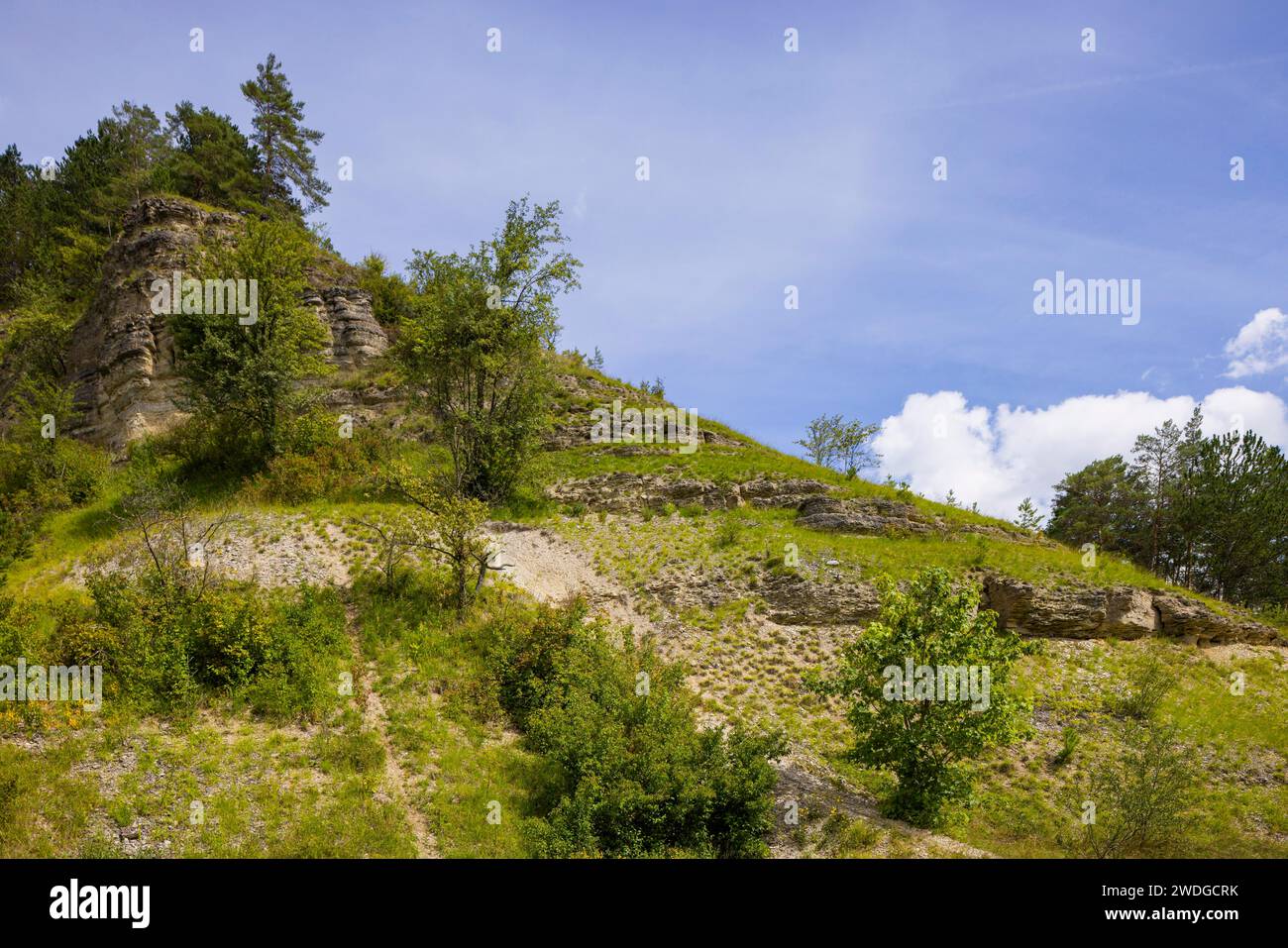 The Ohrdruf satellite camp was established in November 1944. On Hitler ...