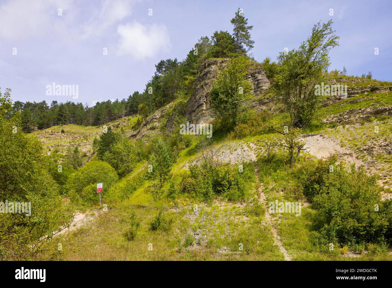 The Ohrdruf satellite camp was established in November 1944. On Hitler ...