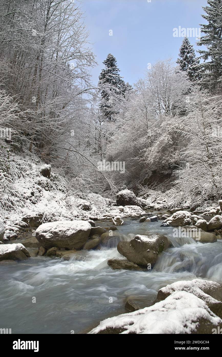 Little creek in the alps after a nightly snowfall. snow in the swiss ...