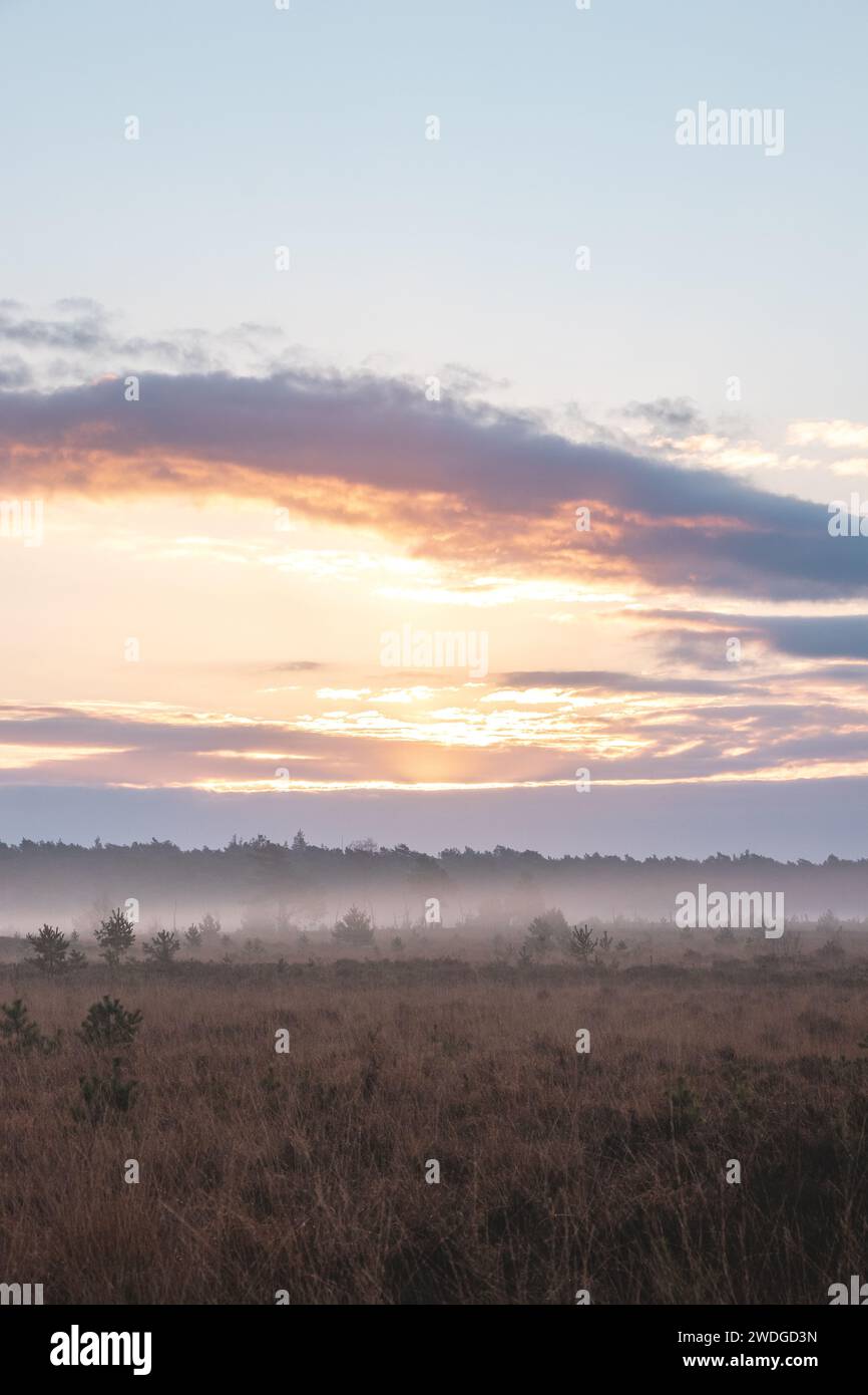 Orange morning sun illuminates a sandy path and a landscape shrouded in ...