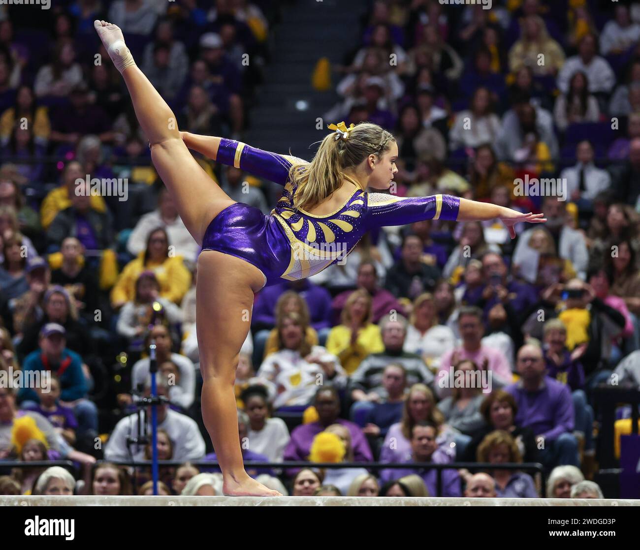 Baton Rouge, LA, USA. 19th Jan, 2024. LSU's Annie Beard competes on the ...