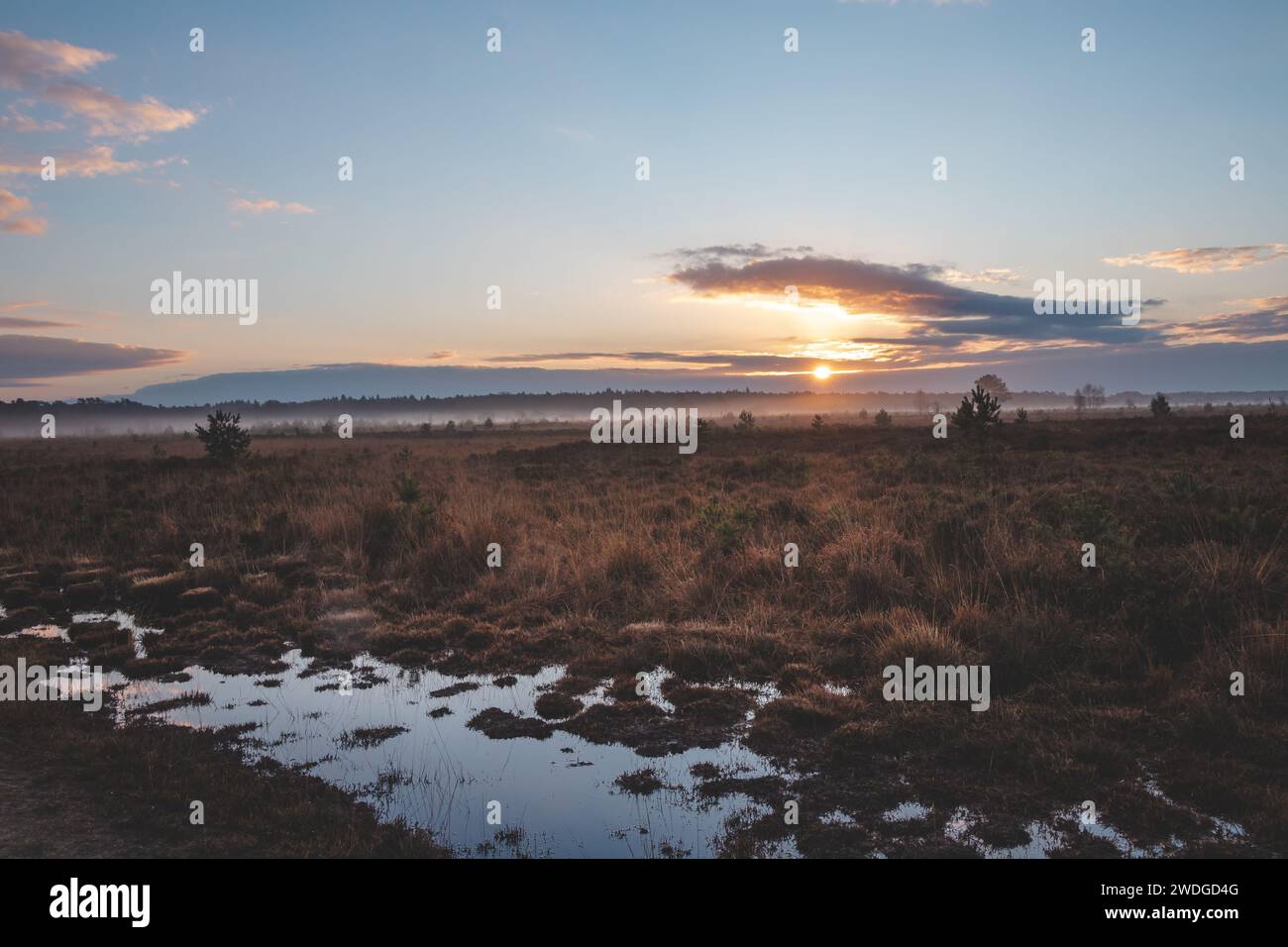Orange morning sun illuminates a sandy path and a landscape shrouded in ...
