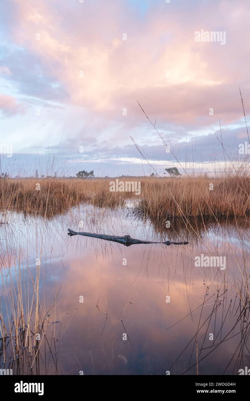 Colourful skies and the morning sun illuminate a sandy path and a ...