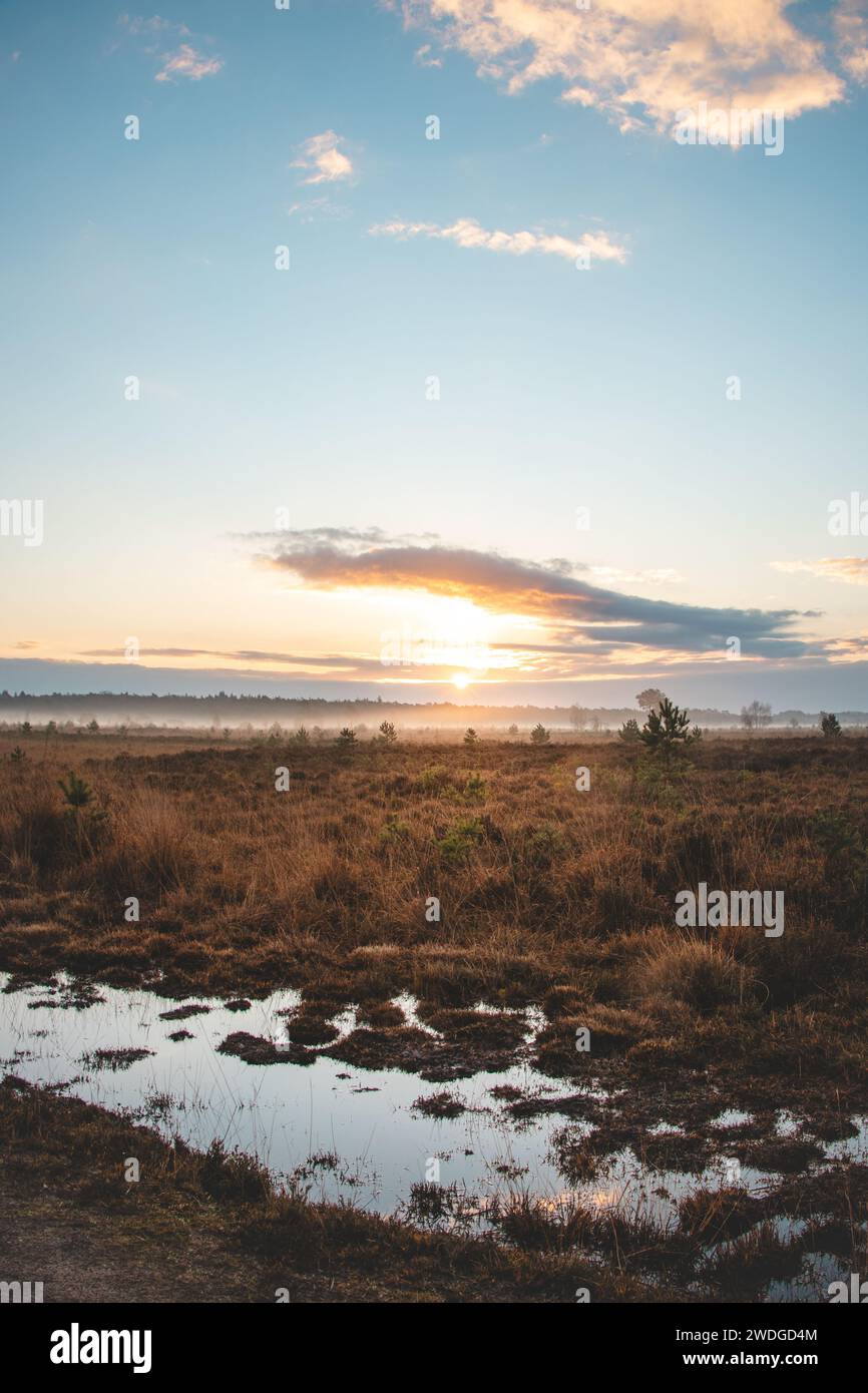 Orange morning sun illuminates a sandy path and a landscape shrouded in ...