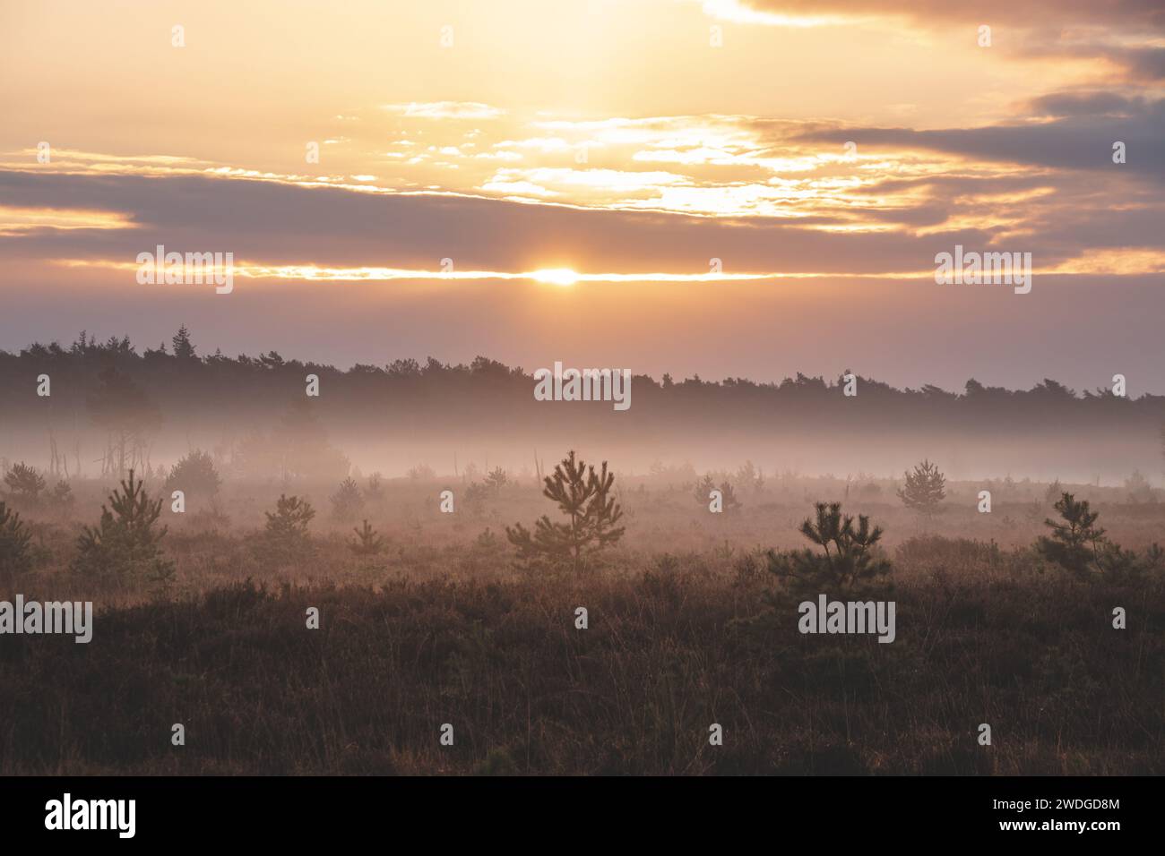 Orange morning sun illuminates a sandy path and a landscape shrouded in ...