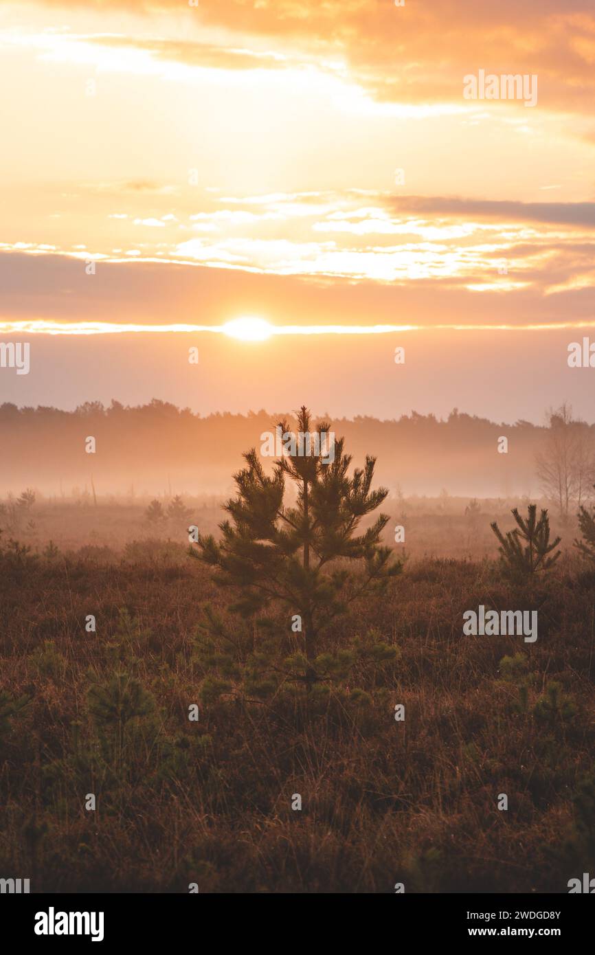 Orange morning sun illuminates a sandy path and a landscape shrouded in ...
