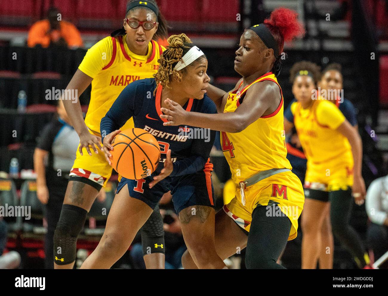 Makira cook hi-res stock photography and images - Alamy