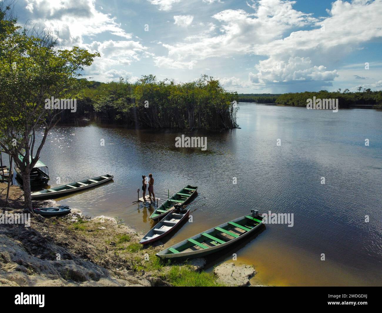 The Rio flowing in the dense Amazon forest in Brazil Stock Photo - Alamy