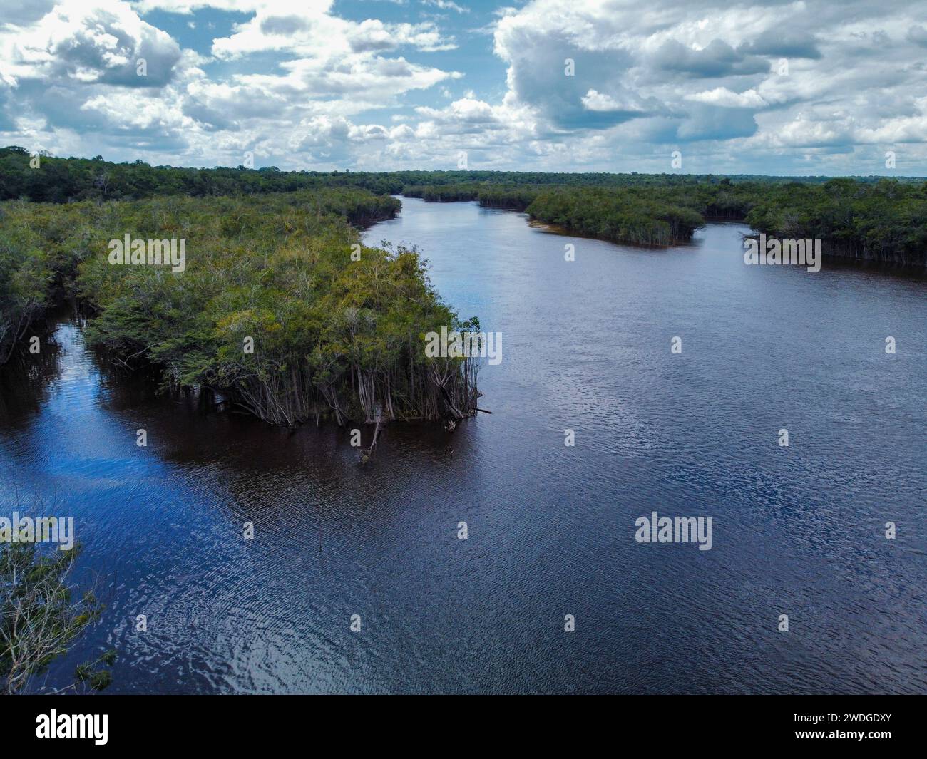 Brazilian amazon jungle hi-res stock photography and images - Alamy