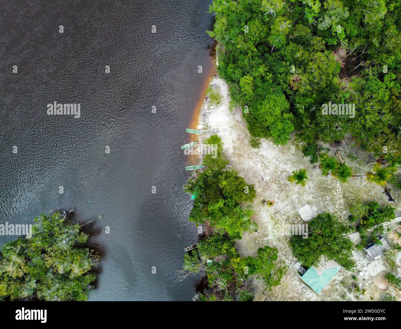 The Rio flowing in the dense Amazon forest in Brazil Stock Photo - Alamy