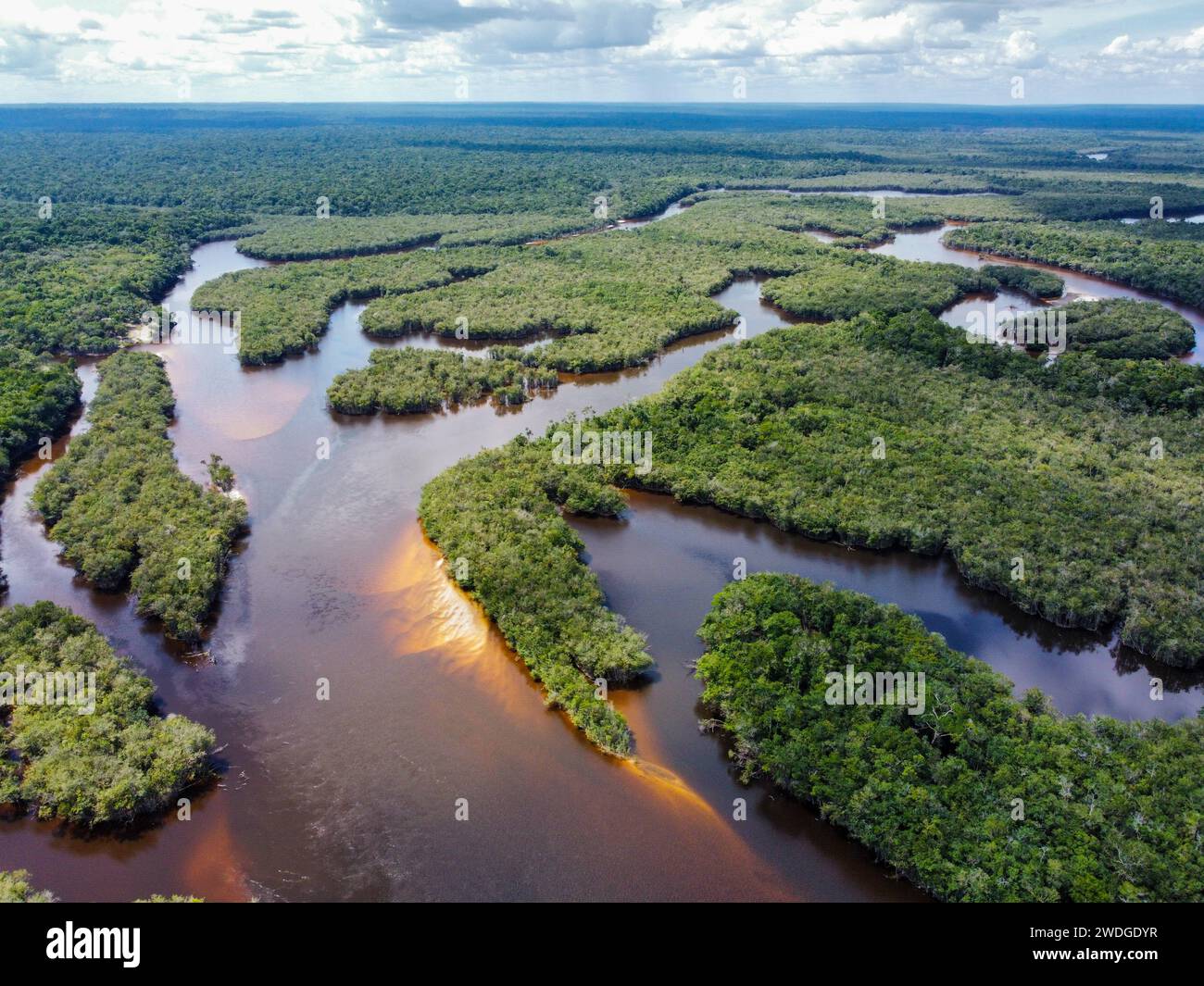 The Rio flowing in the dense Amazon forest in Brazil Stock Photo - Alamy