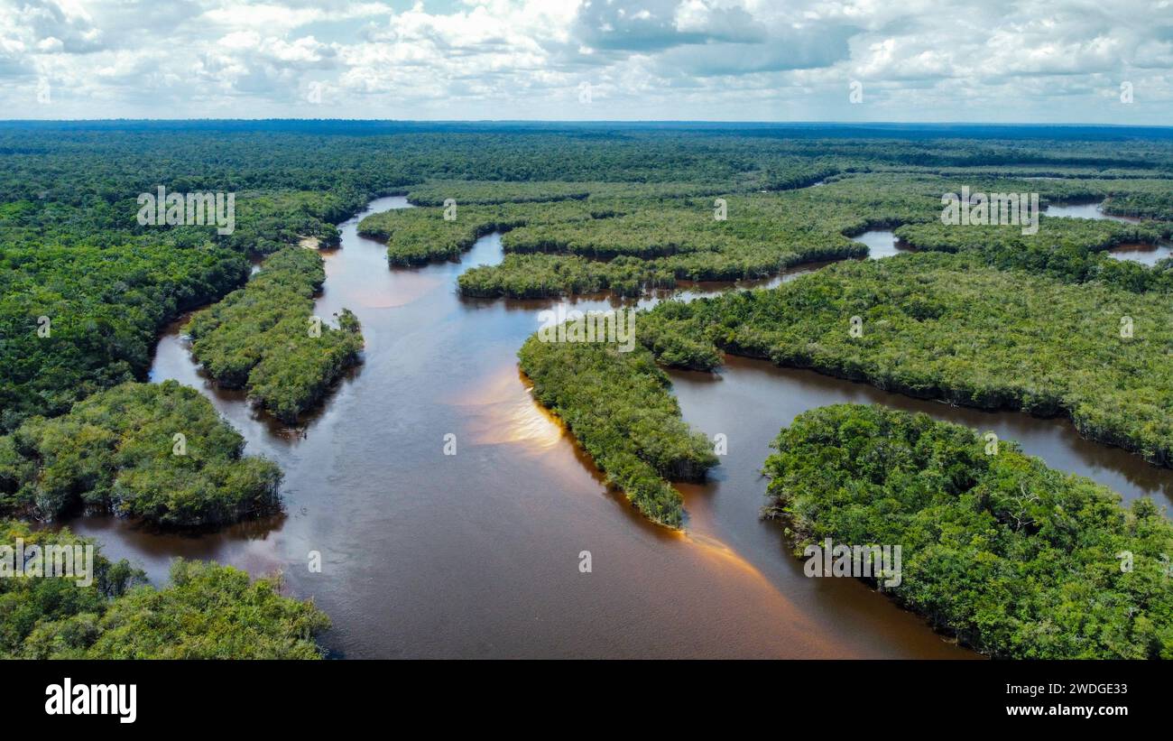 The Rio flowing in the dense Amazon forest in Brazil Stock Photo - Alamy