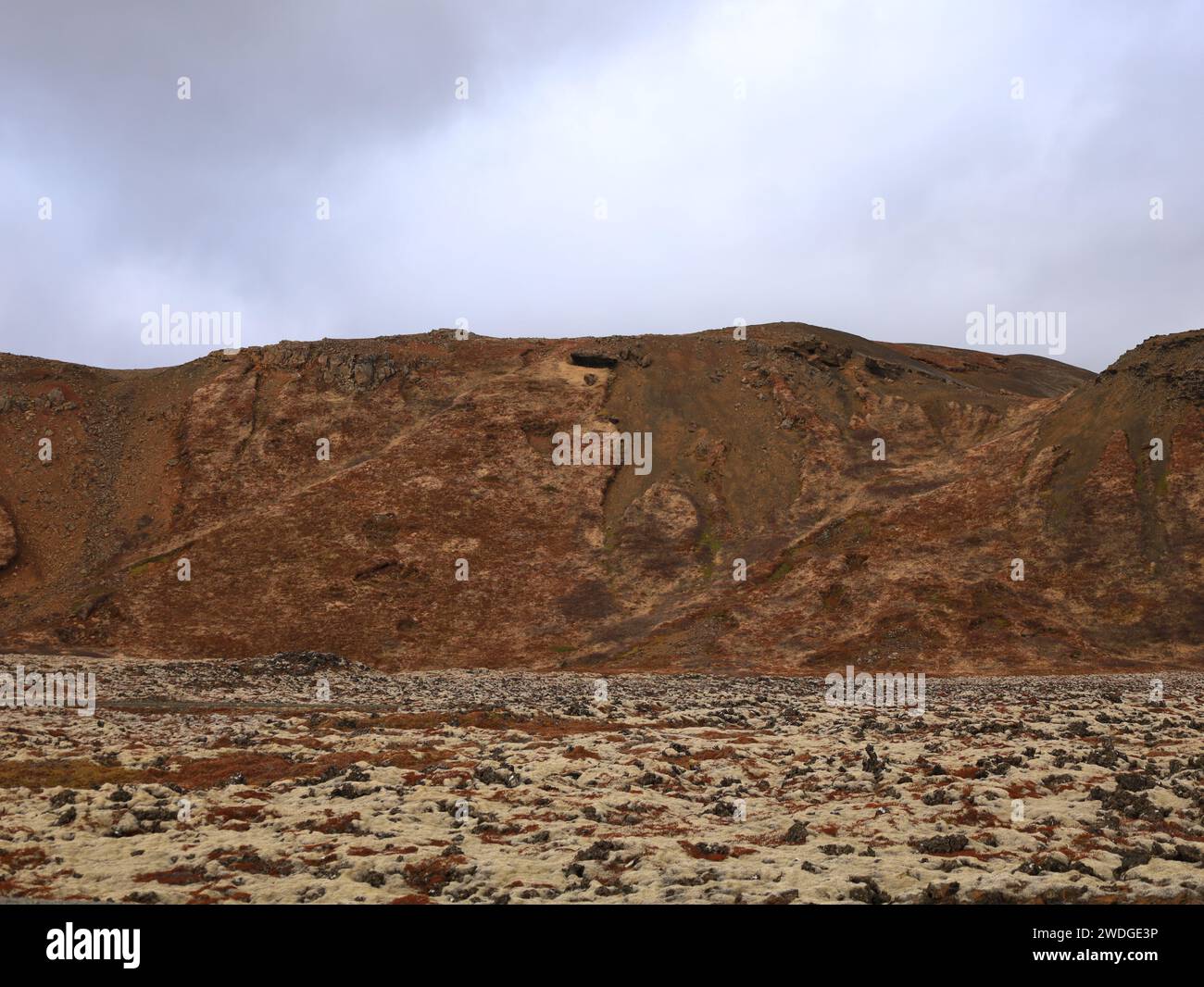 Reykjanesfólkvangur is a nature preserve in Iceland with lava ...